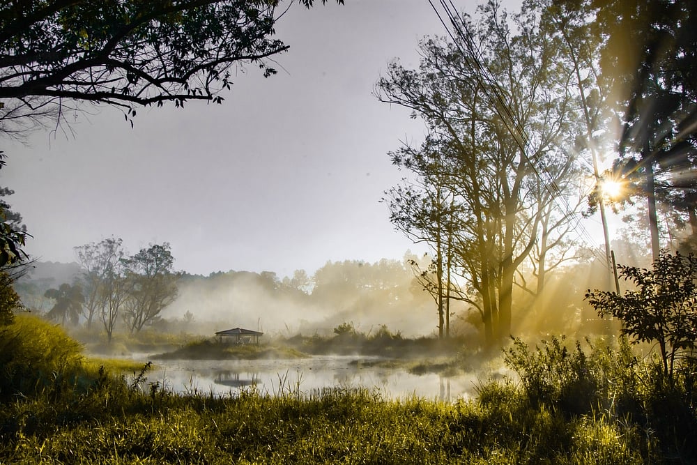 Top 5 Hilly Getaways In Sri Lanka: Outlook Traveller