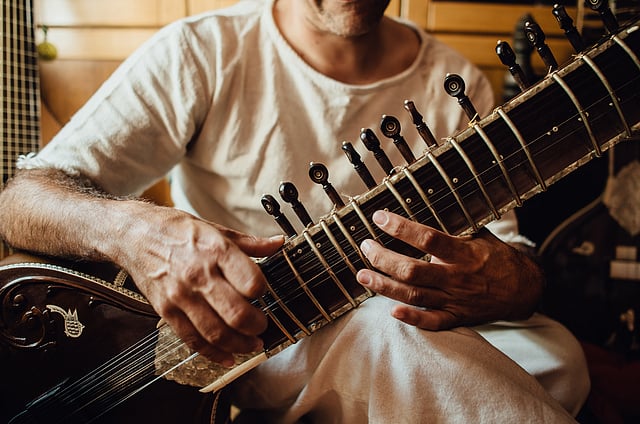 See A Collection Of Rare Indian Musical Instruments At This Exhibition
