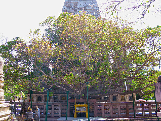 Guide To Bodh Gaya, Where Buddha Got Enlightenment