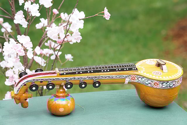 The GI Tagged Bobbili Veena Of Andhra Pradesh