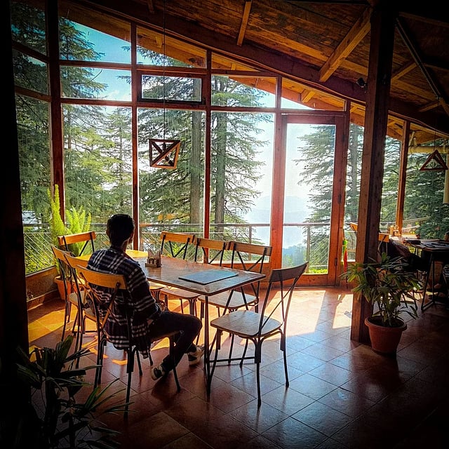 Visit These Cafes In Shimla On Your Next Hill Station Vacation