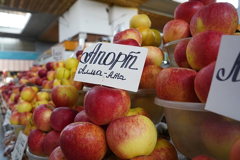 All About The Last Wild Apple Forests Of Kazakhstan