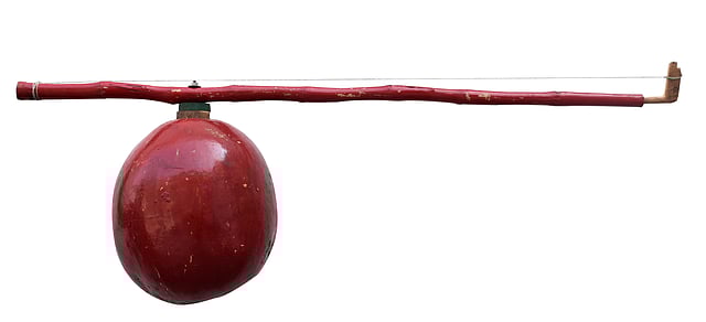 See A Collection Of Rare Indian Musical Instruments At This Exhibition