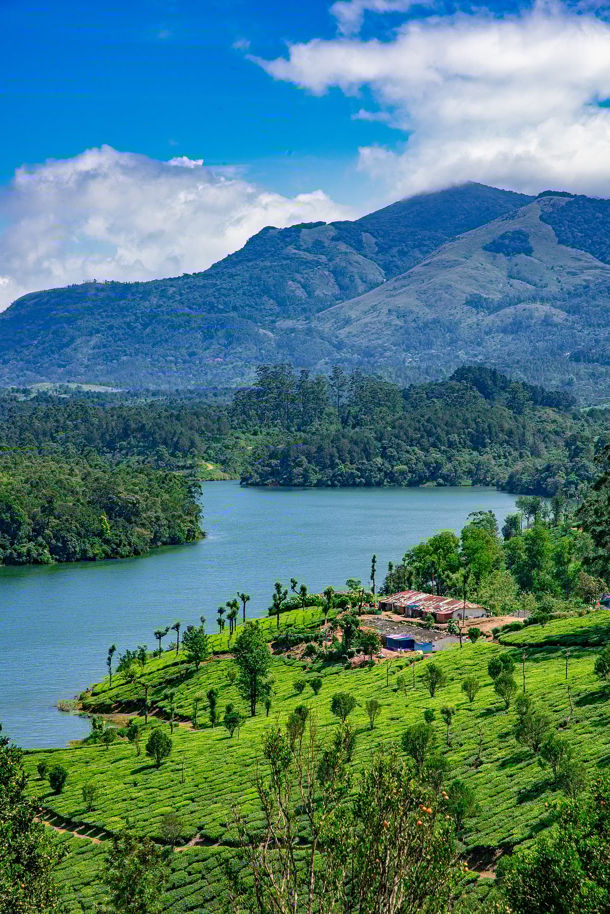 10 Places To Visit In Munnar