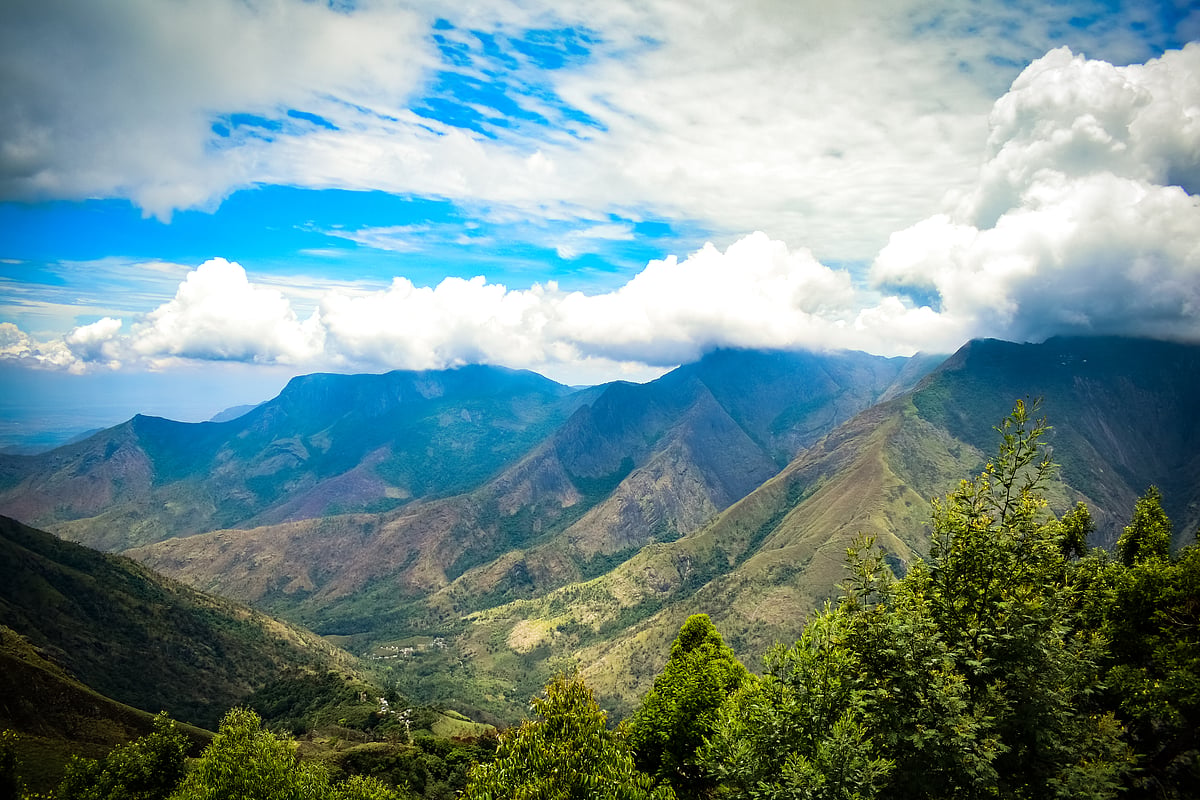 Make The Most Of Munnar With This 3-Day Munnar Itinerary
