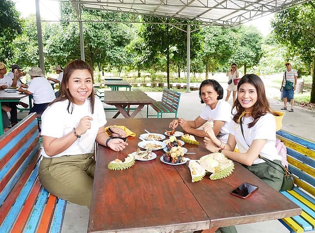 Offbeat Alert: Go On A Tour Of Fruit Farms When In Thailand