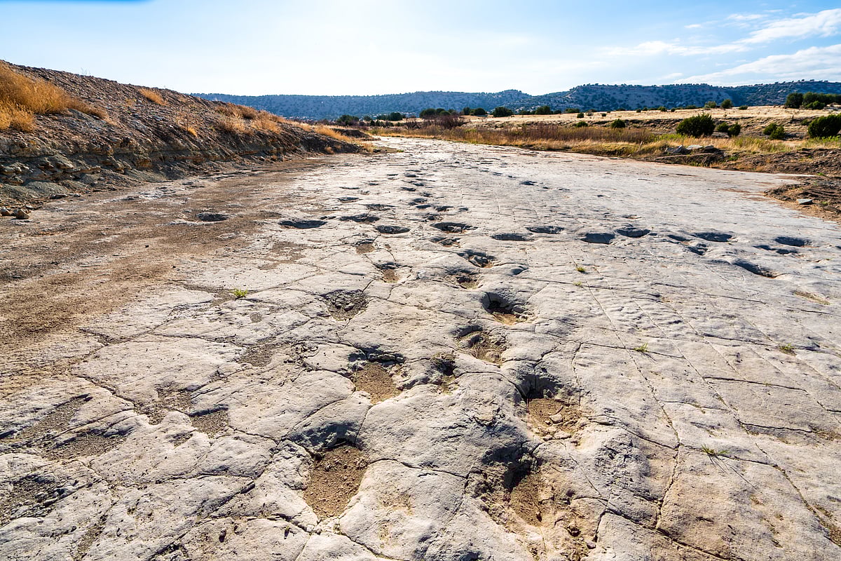 World’s Longest Dinosaur Track In Colorado Is Now Open For Public