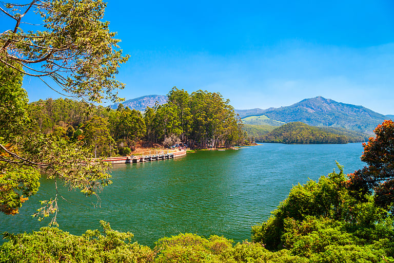 Make The Most Of Munnar With This 3-Day Munnar Itinerary