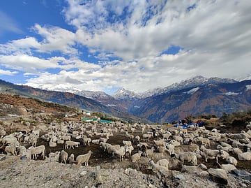 All About The Darma Valley Trek in Dharchula, Uttarakhand