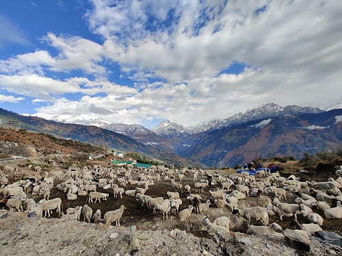 All About The Darma Valley Trek in Dharchula, Uttarakhand