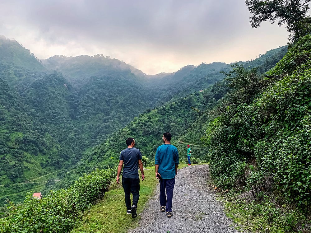 Spiritual Trails To Camping: 5 Things To Do In Kanatal