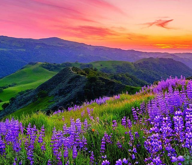 A 48-Hour Family Holiday Guide To California’s Tri-Valley