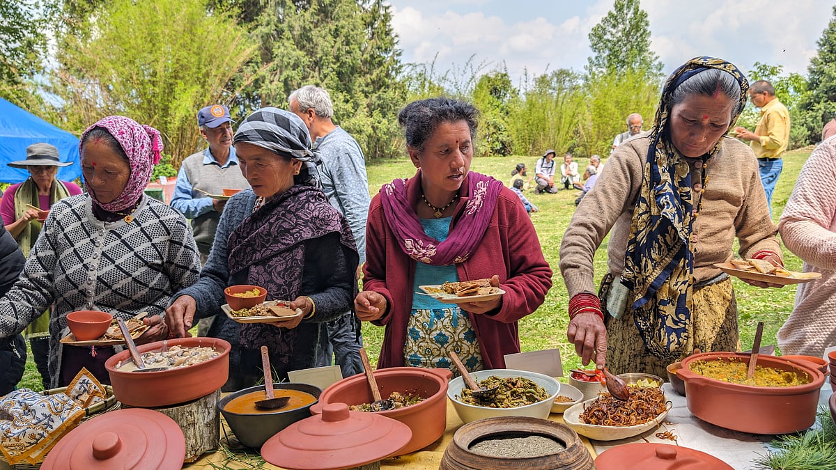 Flavours From The Forests of Panchachuli