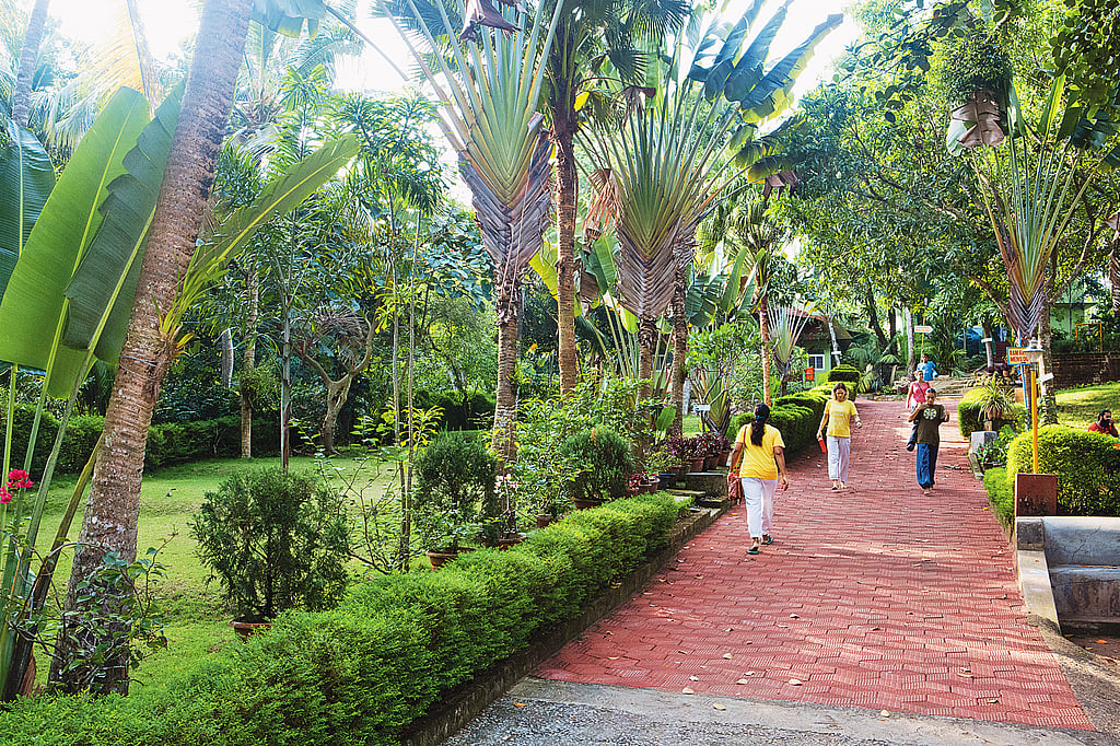 A Day In The Life Of The Ashram