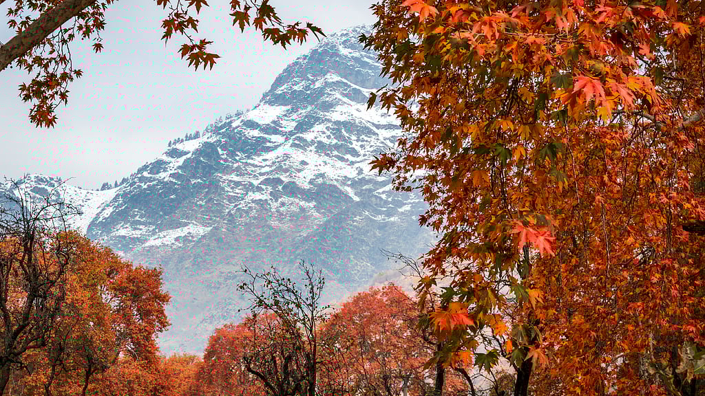 5 Best Places To Visit In India To Witness The Most Spectacular Fall ...