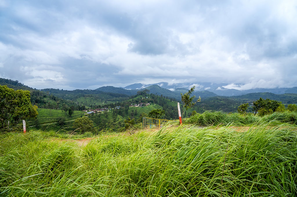 All About The Upcoming Nandavanam Heritage Park In Tamil Nadu