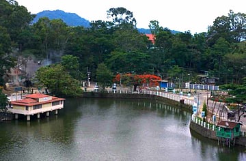 NYT Names Assam As Top Destination For 2025; Here’s Your 7-Day Assam ...