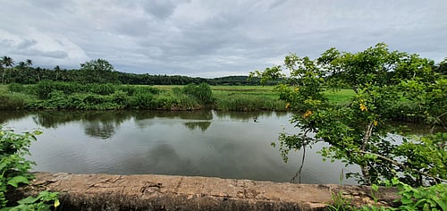 How To Explore The Historic City Of Margao In Goa