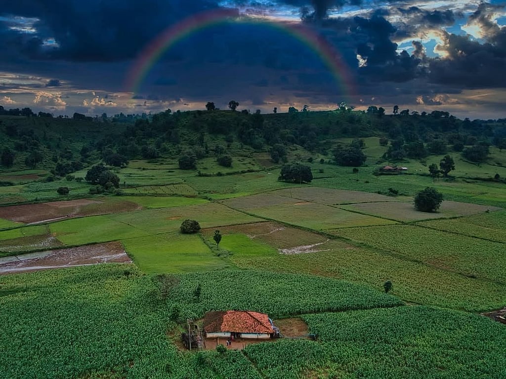 Here's Why You Should Visit Patalkot In Madhya Pradesh After Watching ...