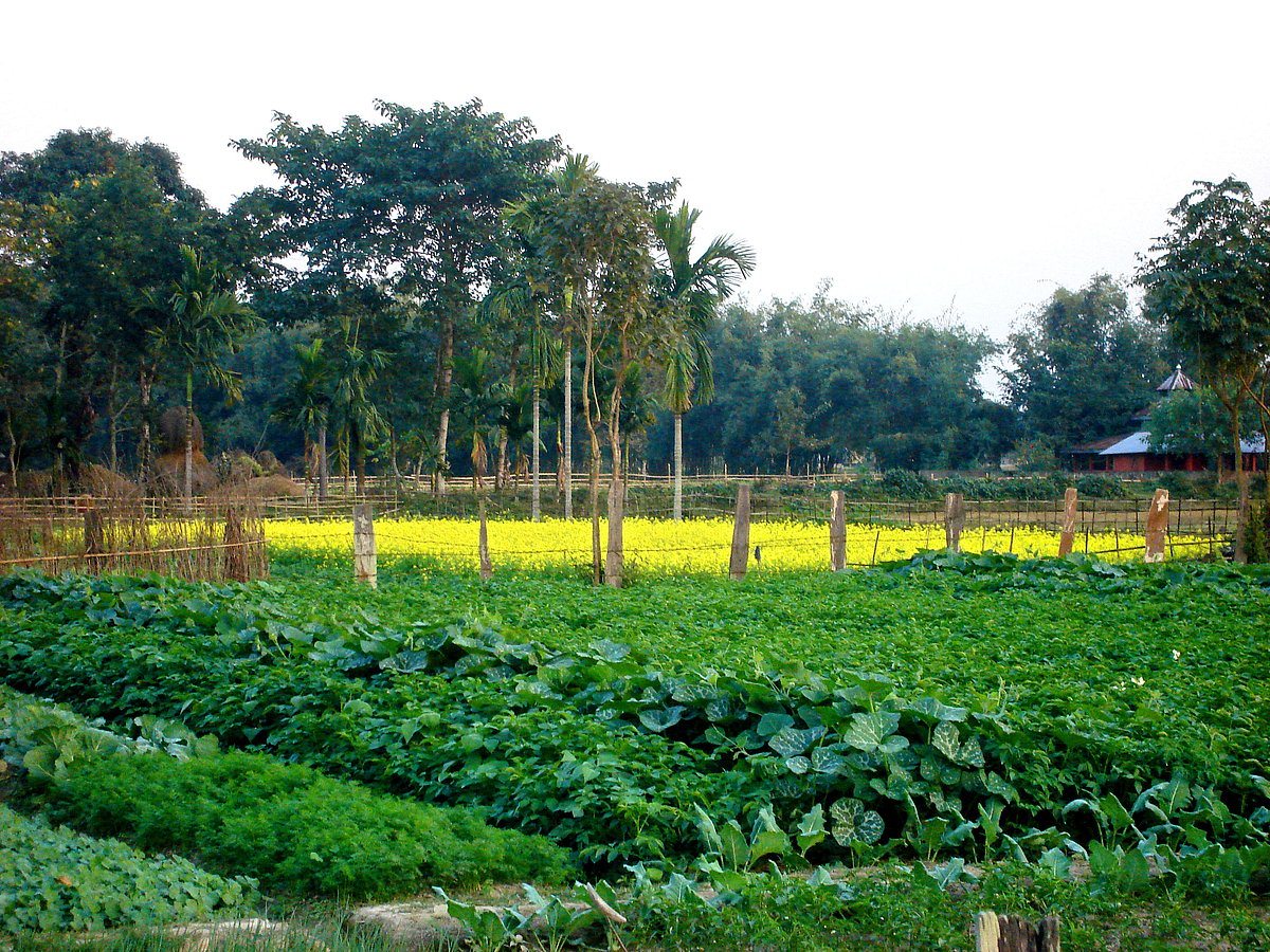 Bodoland In Assam Is Gearing Up To Welcome Tourists—Here's How