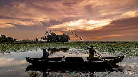 Pullu In Thrissur: An Offbeat Gem In Kerala Worth Visiting