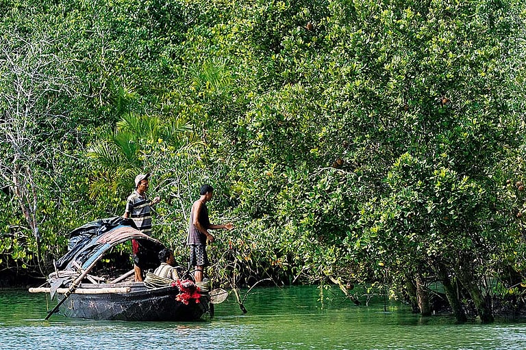 The Sacred Serpents: India’s Ancient Snake Worship