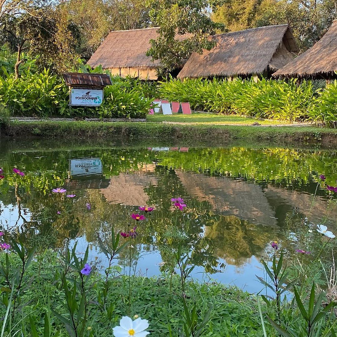 This Park In Chiang Mai Transforms Elephant Poo To Paper