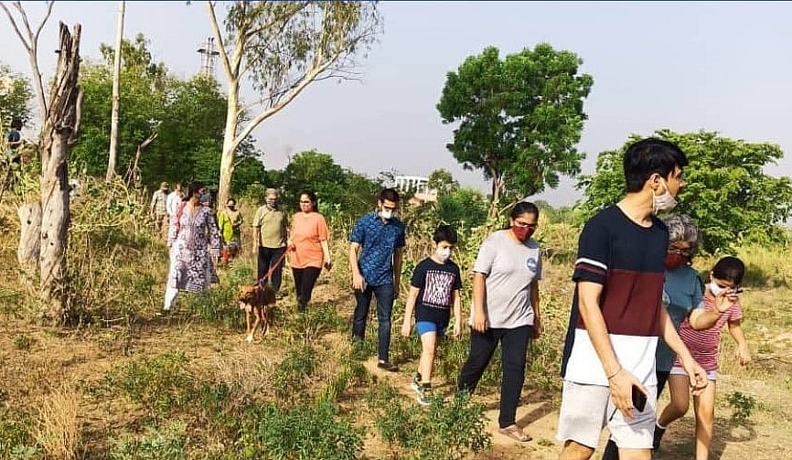 Why Is Jaipur's Last Forest, Dol Ka Badh, Being Cleared