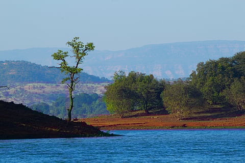 Shetphal: India’s Snake Village in Maharashtra