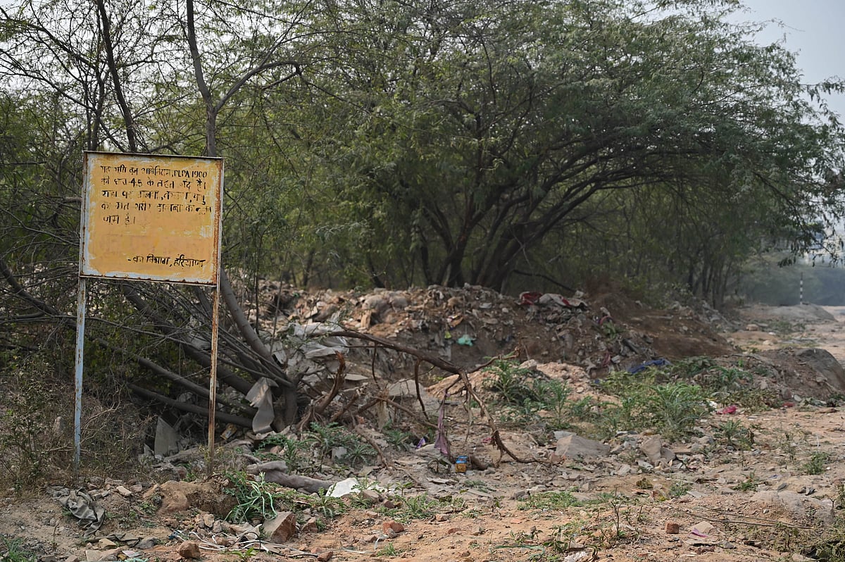 Explained: The Aravalli Green Wall Project