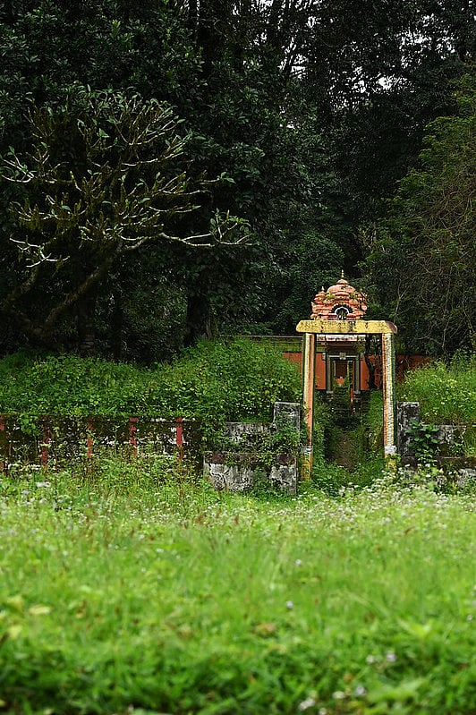 Inside Devarakadu: Karnataka’s Hidden Sacred Groves