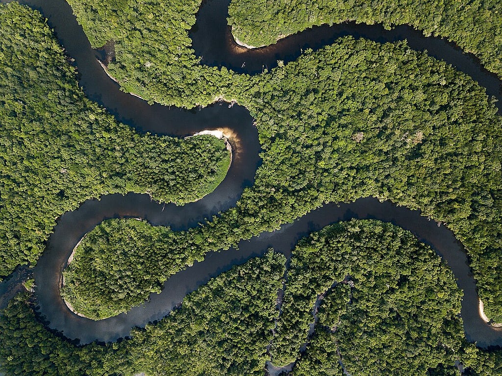 Explore The Cardamom Mountains: Cambodia’s Hidden Jungle Paradise