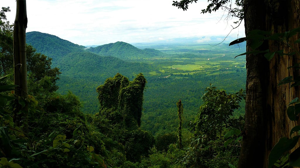 Explore The Cardamom Mountains: Cambodia’s Hidden Jungle Paradise