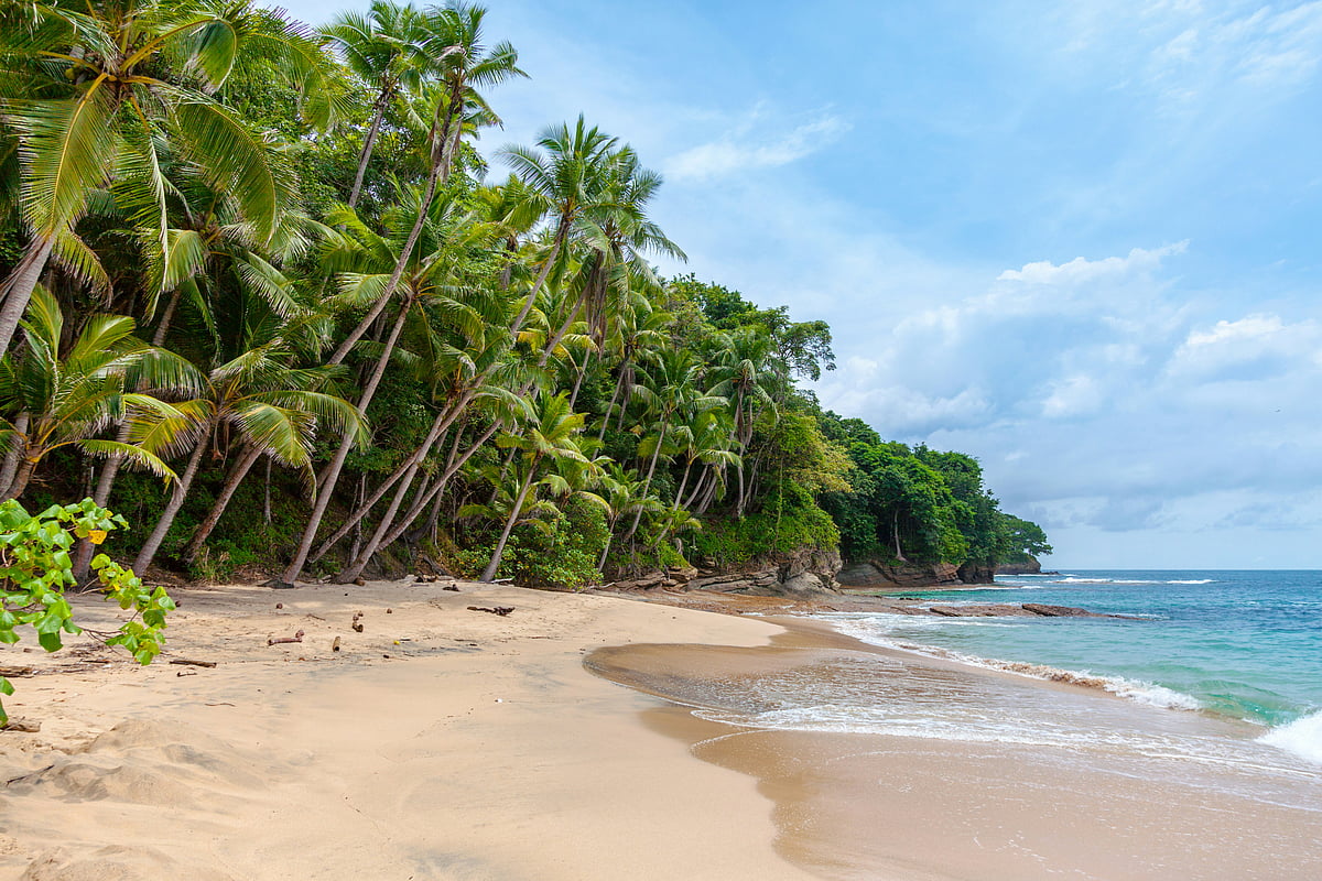 7 Indian Beaches for a Relaxing Budget-Friendly Reset in January 2026