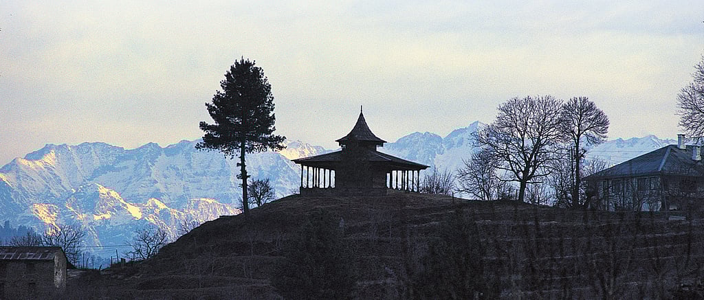 Why Thanedar Is A Must-Visit Destination In Himachal Pradesh