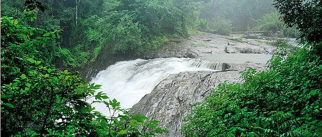Kerala A Quick Guide to Vythiri