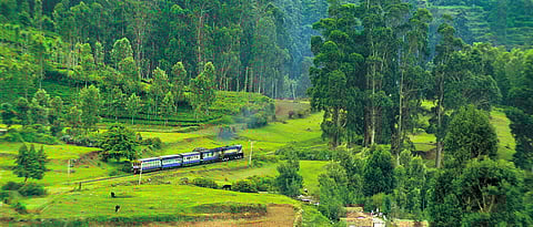 Planning A Trip To Ooty? Here's All You Need To Know