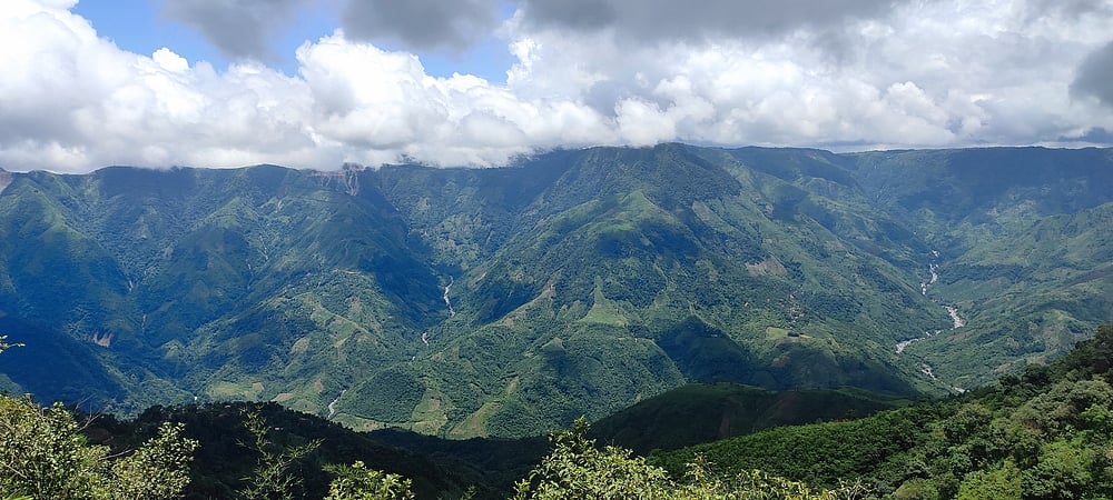 Into The Wild At Williamnagar