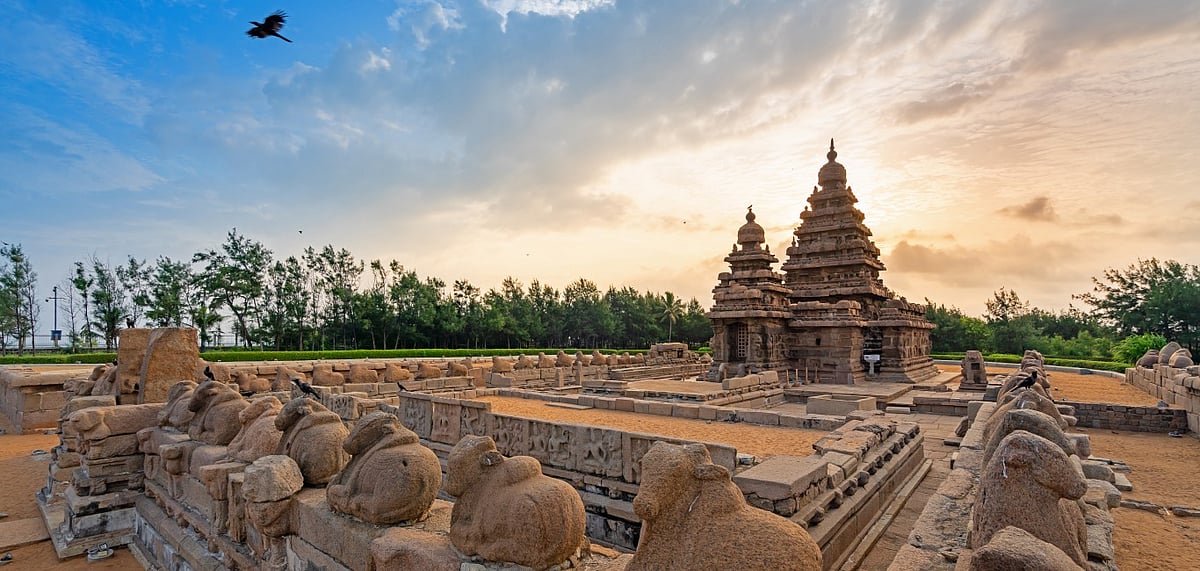 Tamil Nadu's cultural heritage and lineage