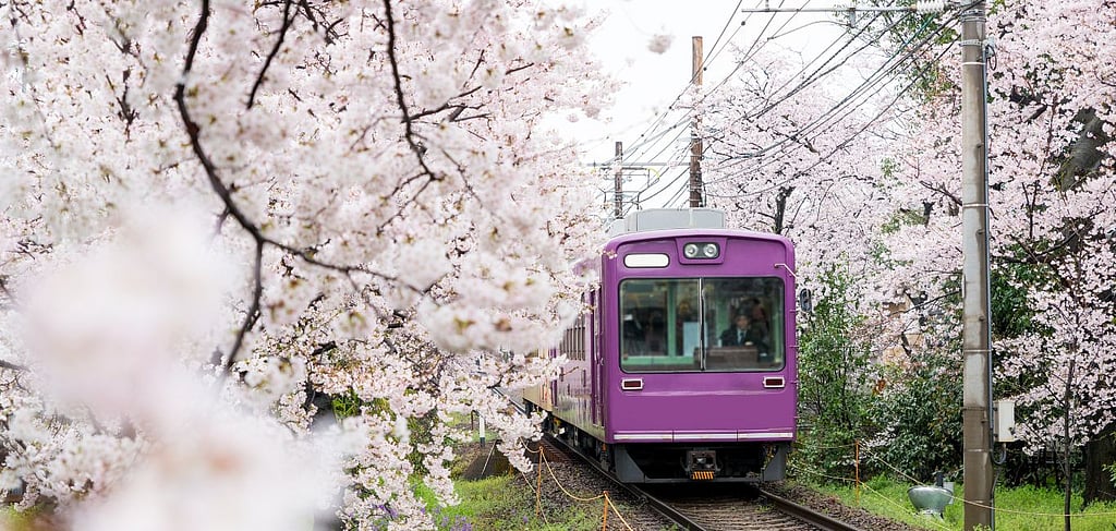 The Best Scenic Train Routes In Japan