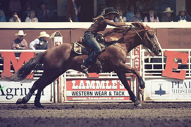 Calgary Stampede Parade