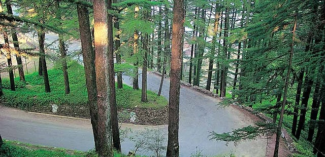 All You Need To Know Before Visiting Chail, Himachal Pradesh