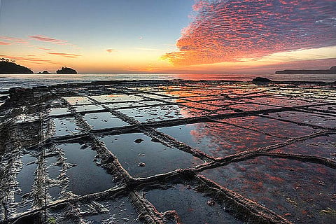 Apple Isle (Tasmania) is a brilliant excursion from Australia