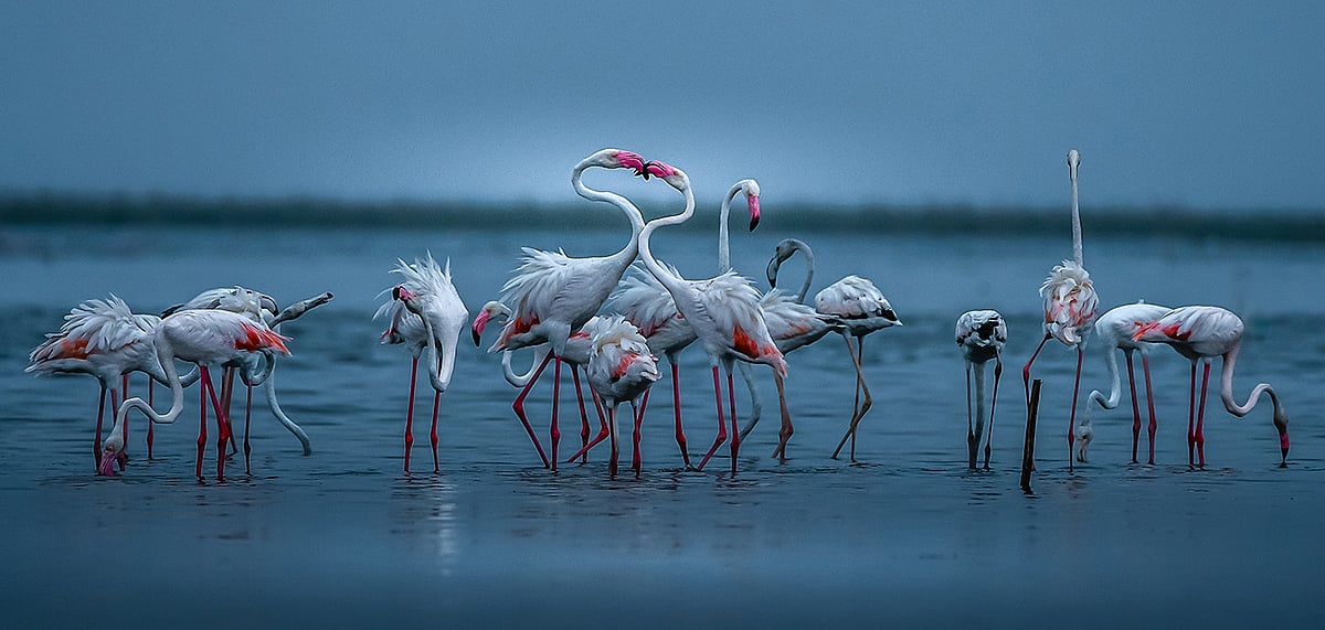 Trailing The Villages Of Kutch