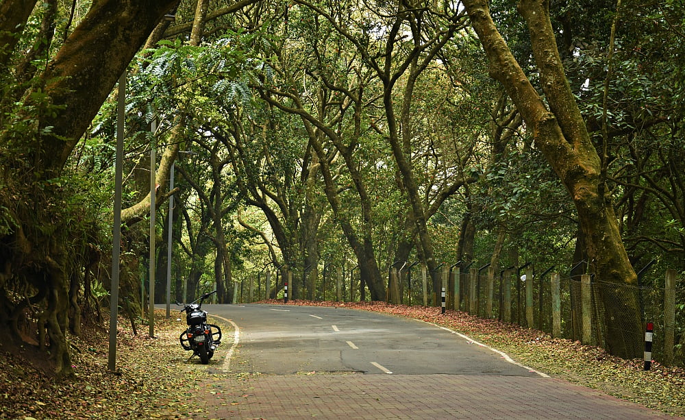 Things to Do in Valparai
