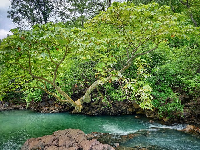 Offbeat Telangana Lesser-Known Spots You Must Visit