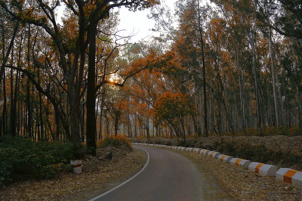 Kalsi A Weekend Getaway From Delhi