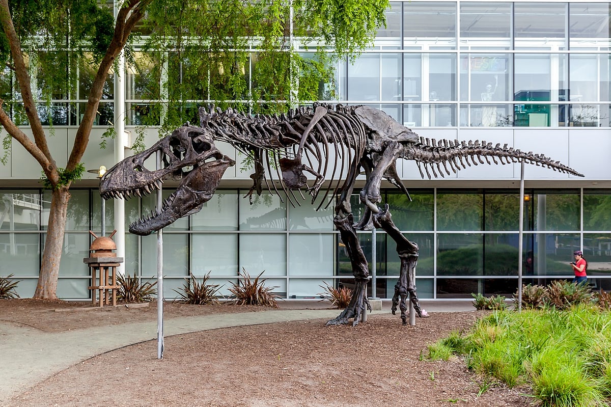 Now We Know Who Owns Stan