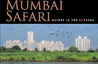 The astonishing biodiversity of Mumbai