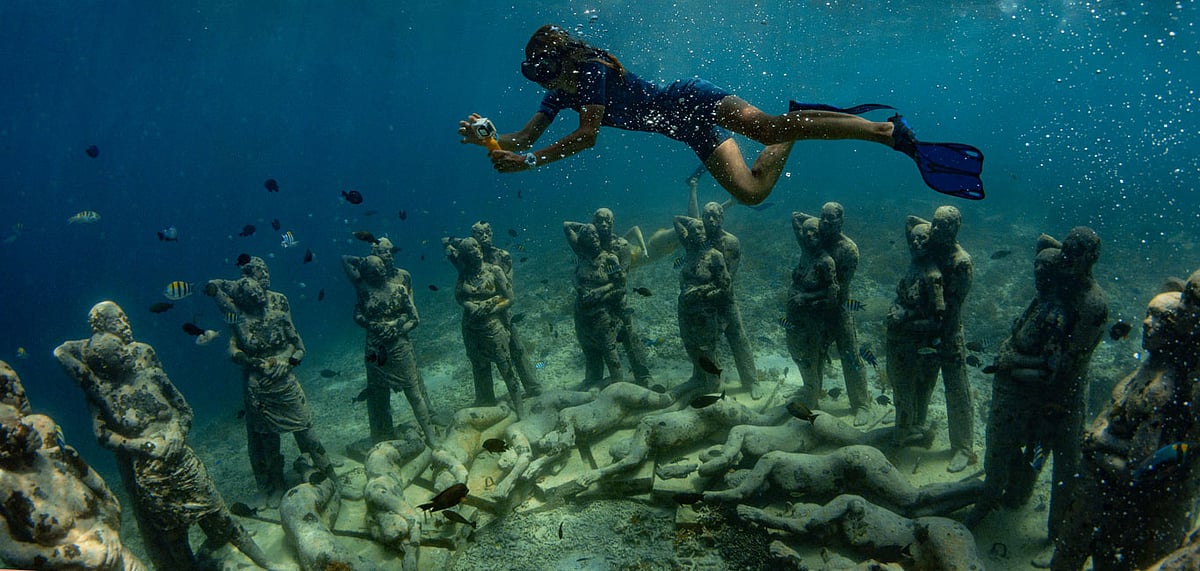 The 1000 Mermaid Artificial Reef Project will help Marine Ecology